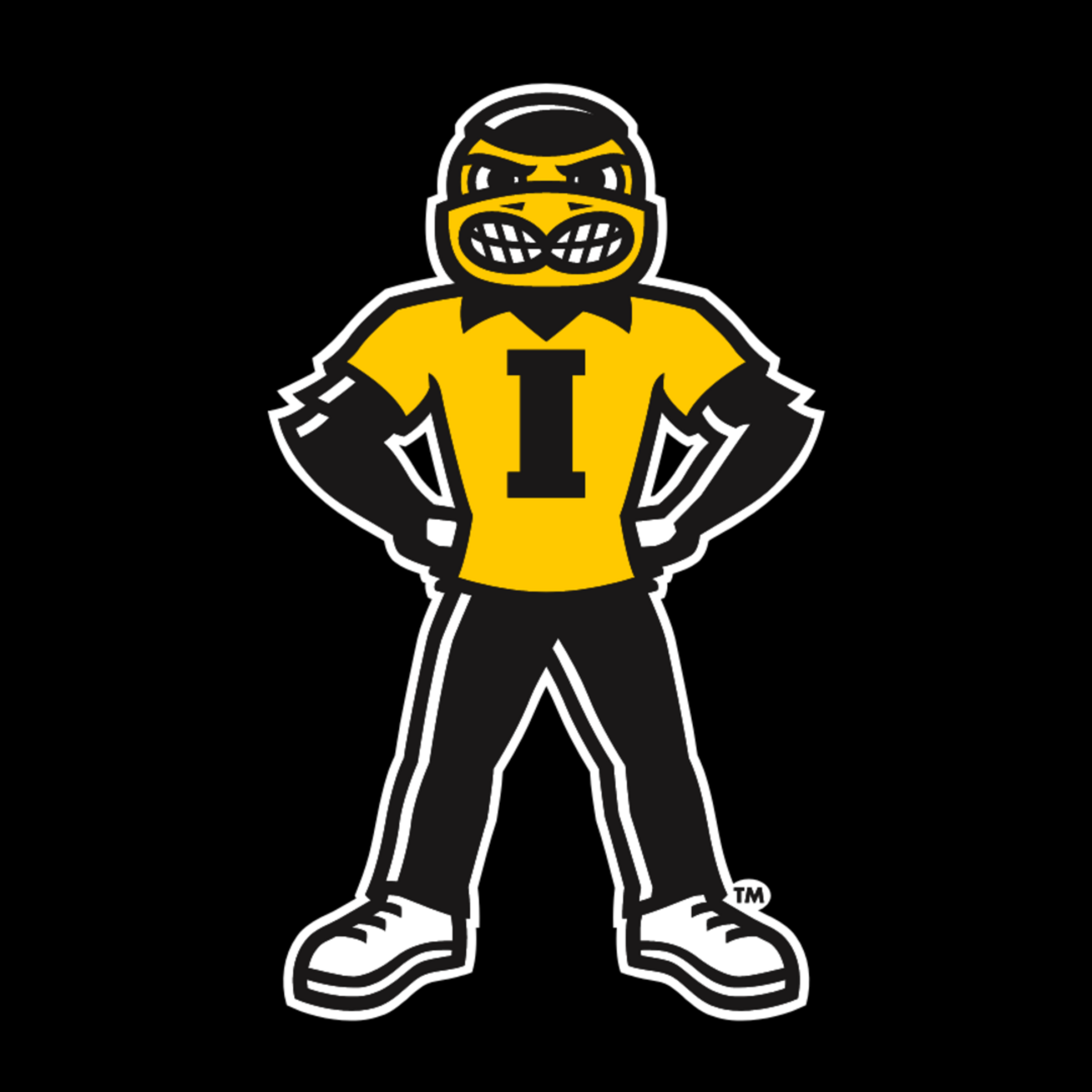 Herky the Hawk | Holden Comprehensive Cancer Center - University of ...