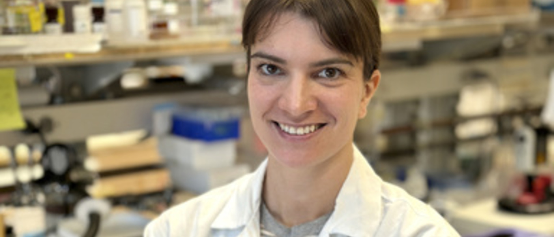 Scientists uncover enzyme that shatters chromosomes, reshapes cancer genomes | Holden ...